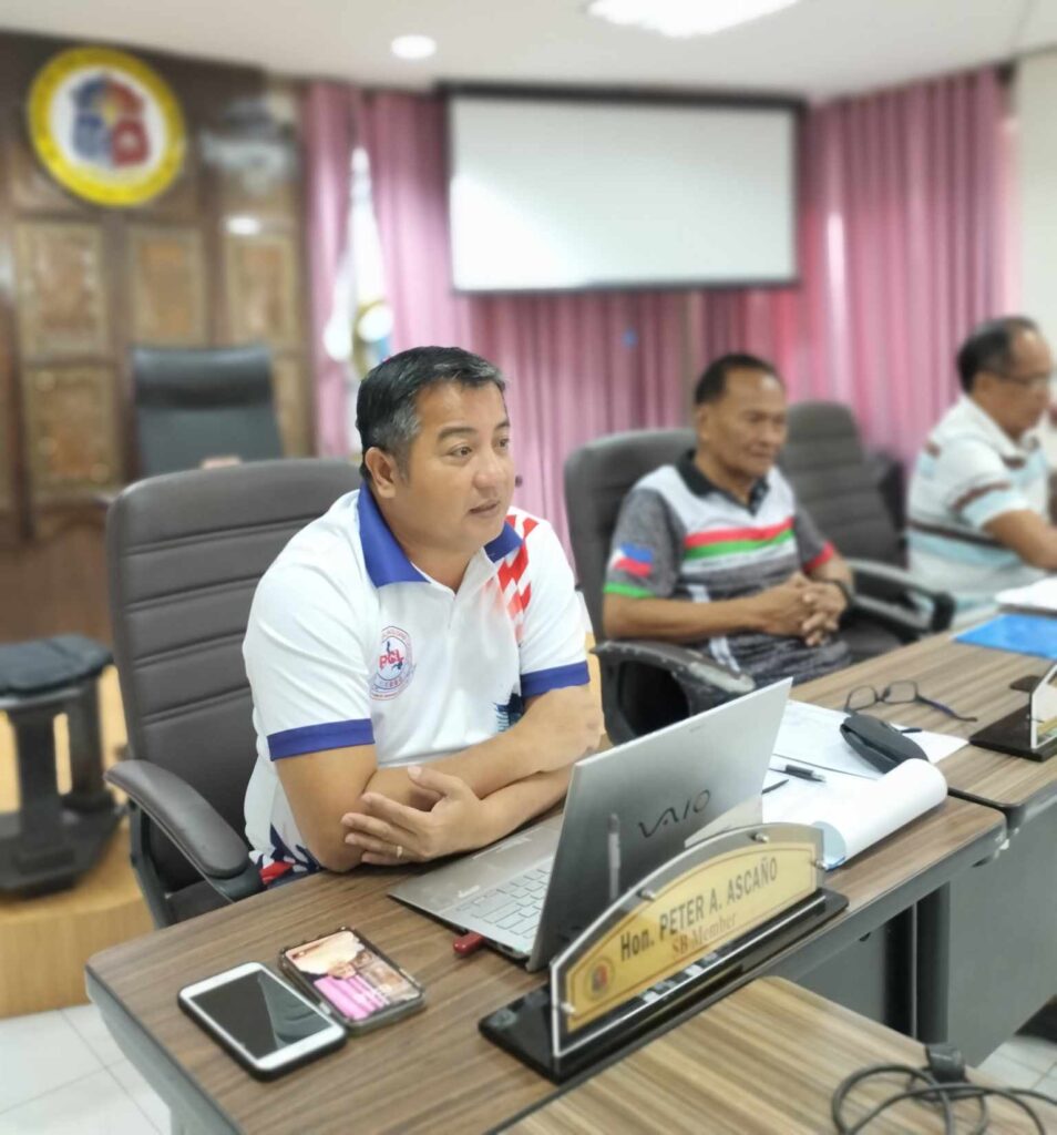 COMMITTEE ON TRANSPORTATION | The Official Website of Sangguniang Bayan ...